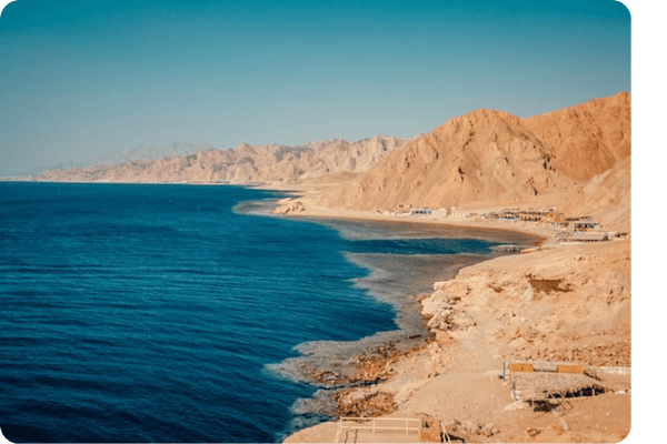 EGYPT: SEA CLEARLY - WONDRINN